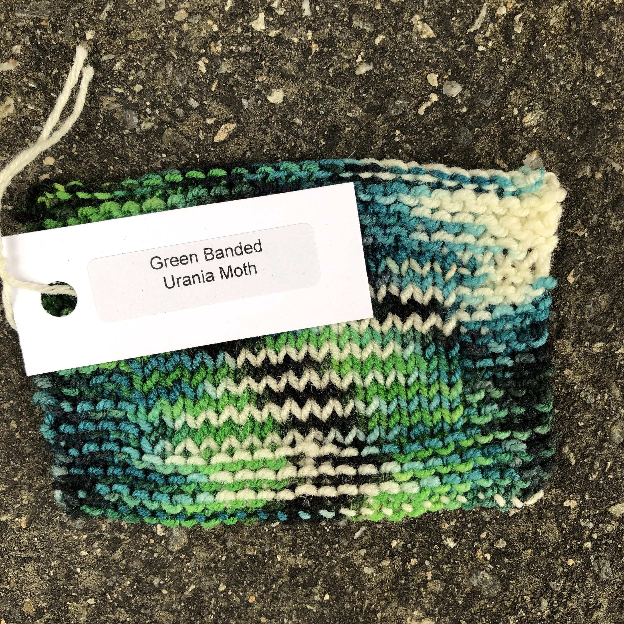 Green Banded Urania Moth — Round Mountain Fibers