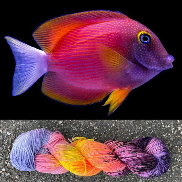 White Tail Bristletooth Tang — Round Mountain Fibers