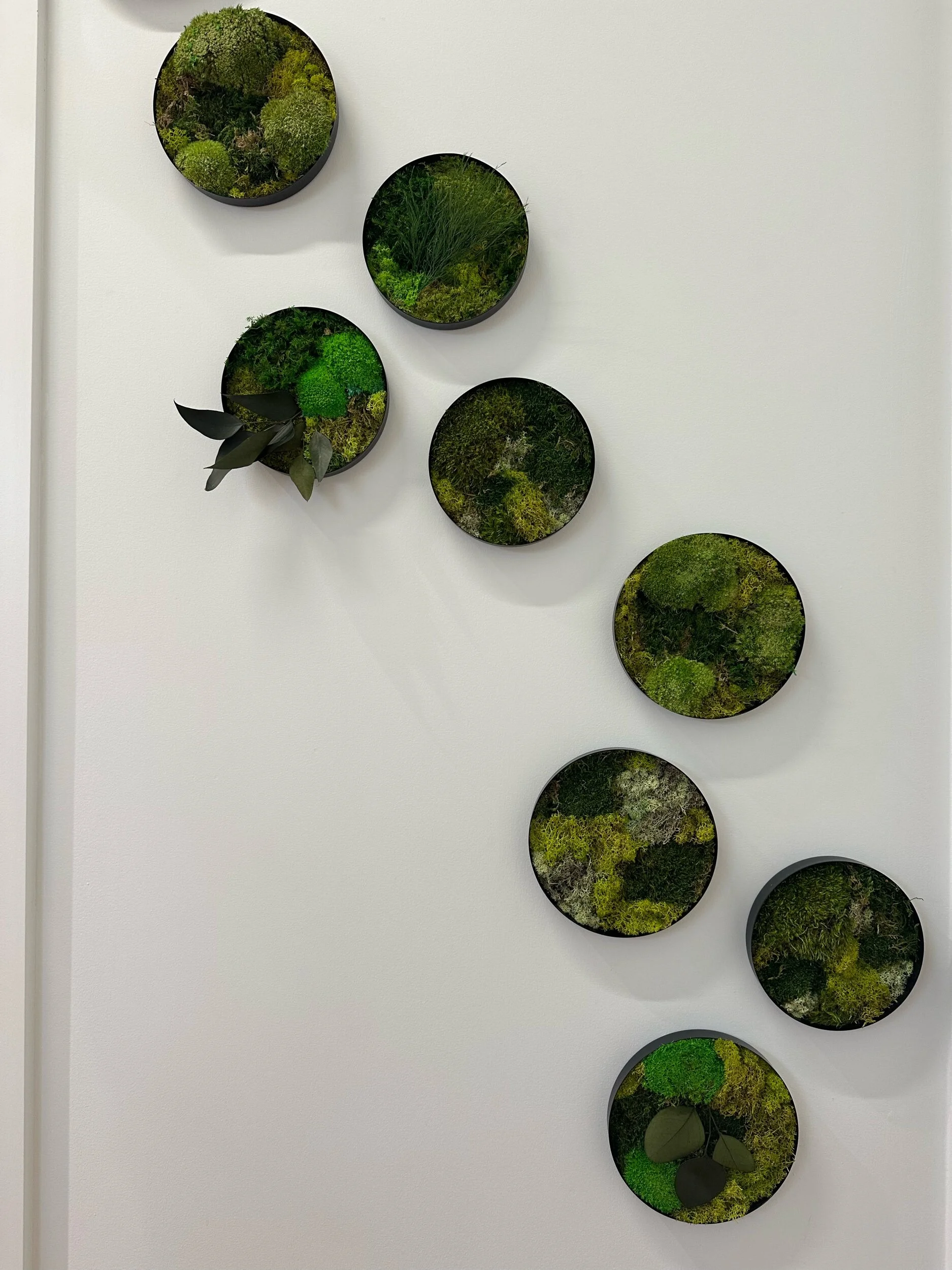 Moss Art Calgary — Bloom Culture