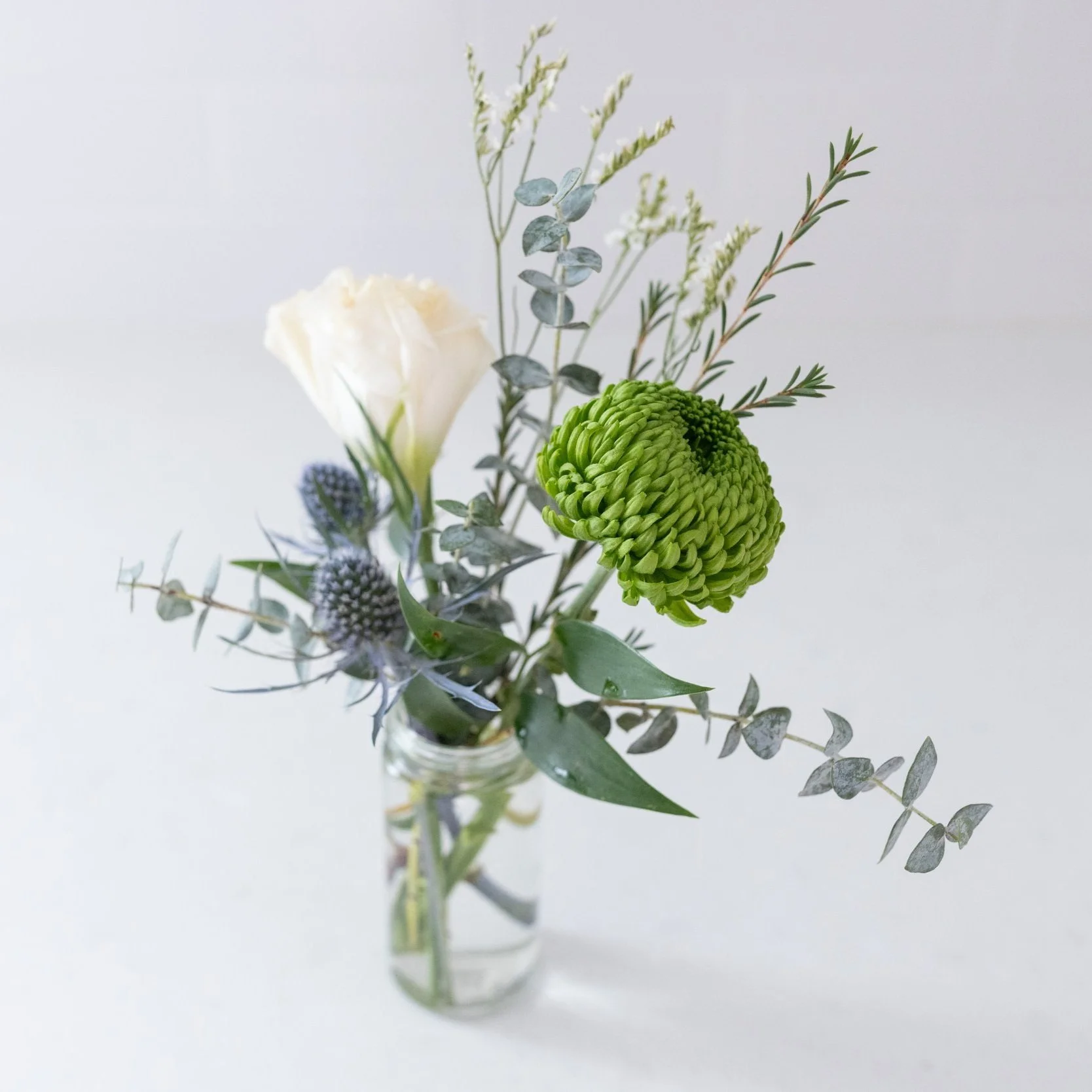 Calgary's Premier Flora Hub – Nature's Beauty for Indoor and Outdoor Spaces