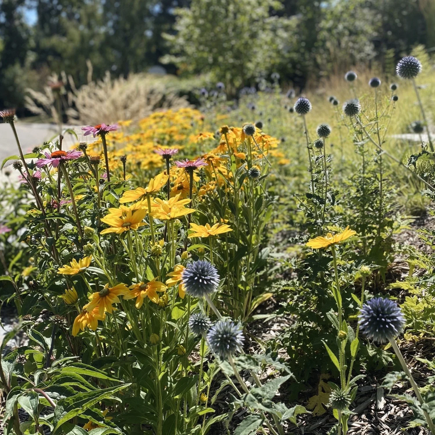 Calgary Garden Design, Planters, Florals & Workshops