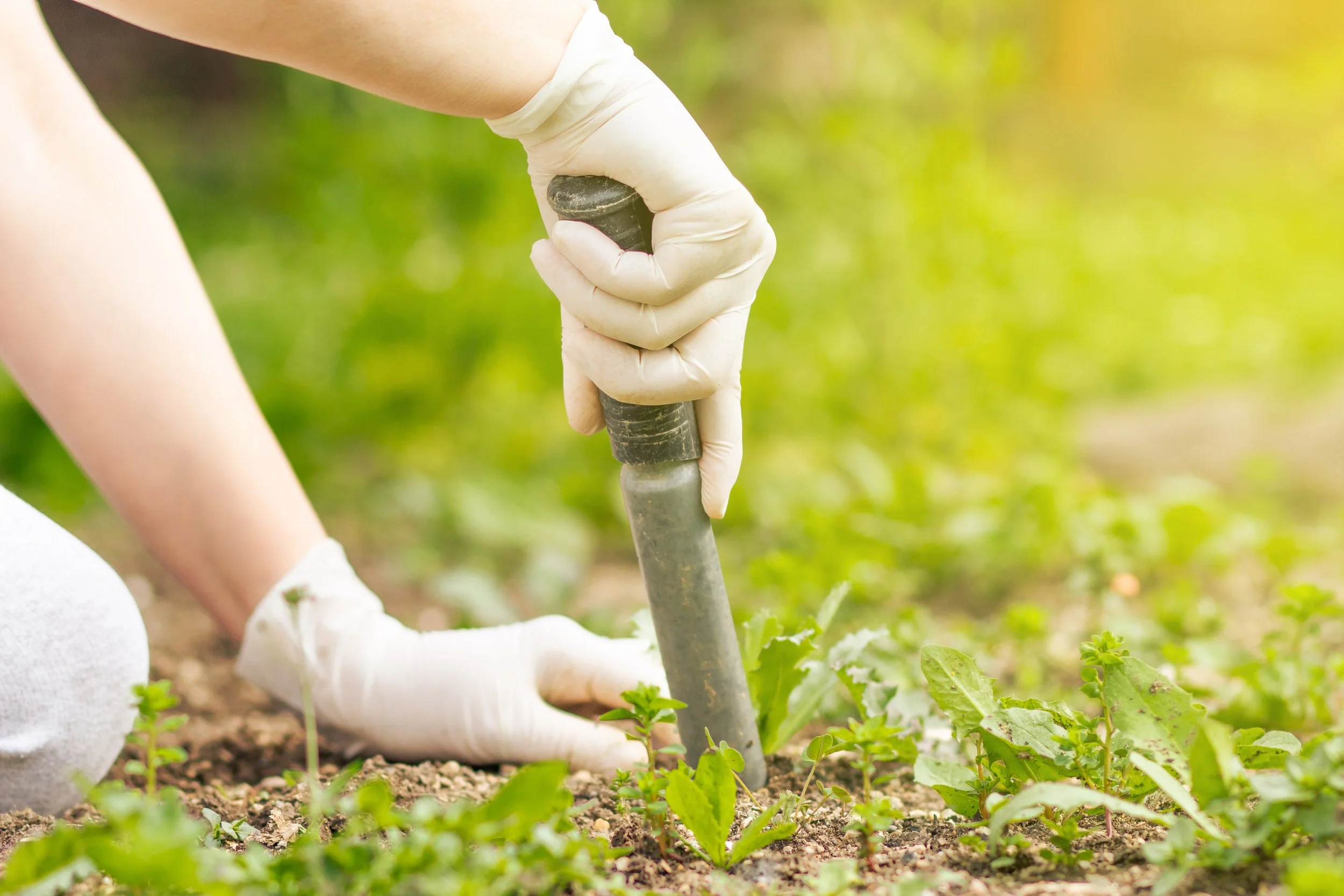 Careers — Bloom Culture