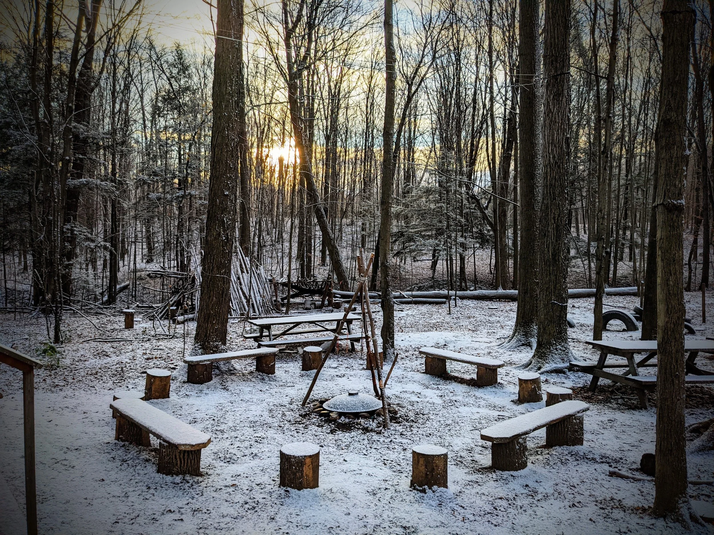 Dogwood Forest Of Dunwoody