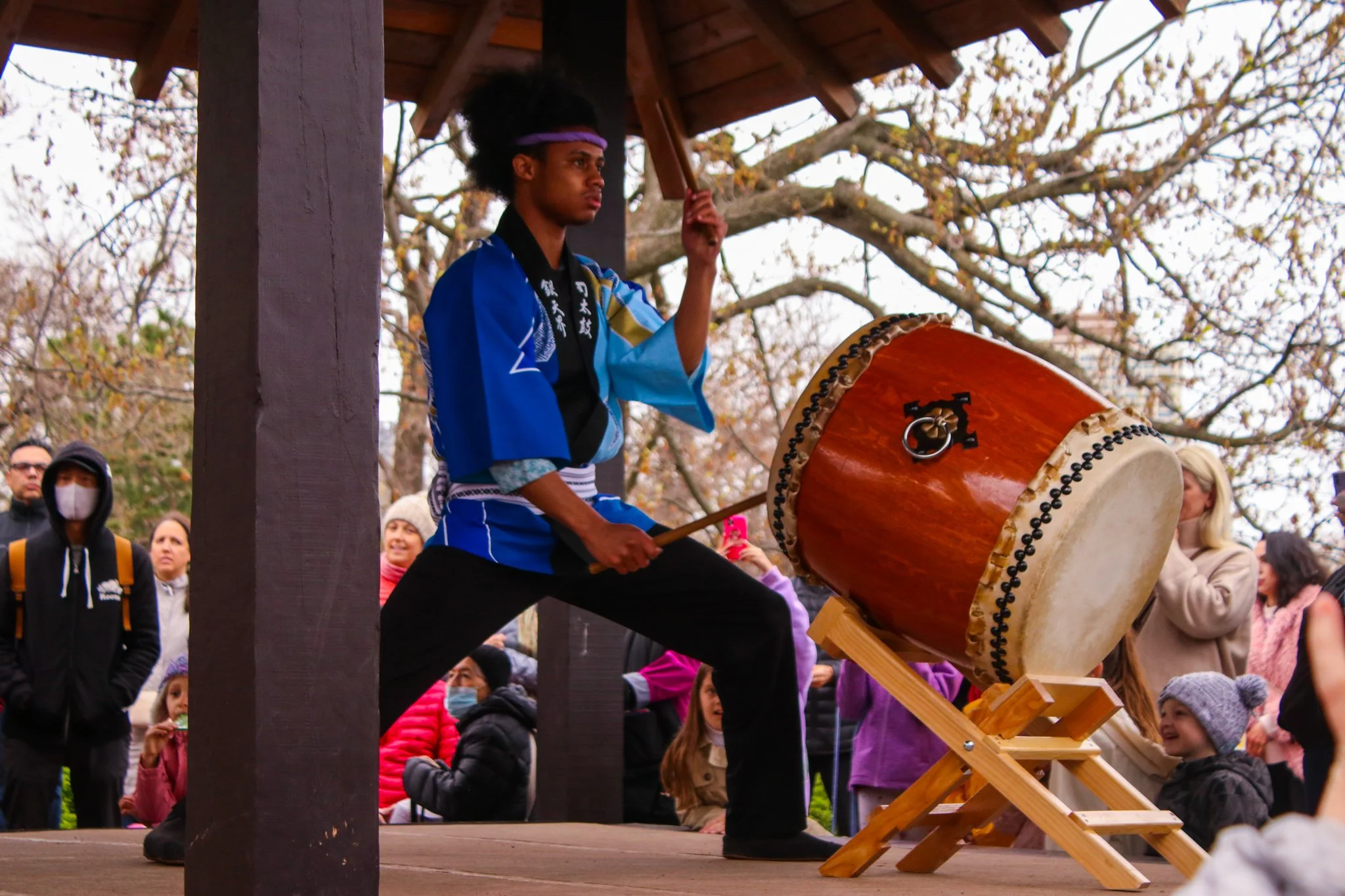 Chicago Celebrates Cherry Blossom Season at the Japanese Arts ...