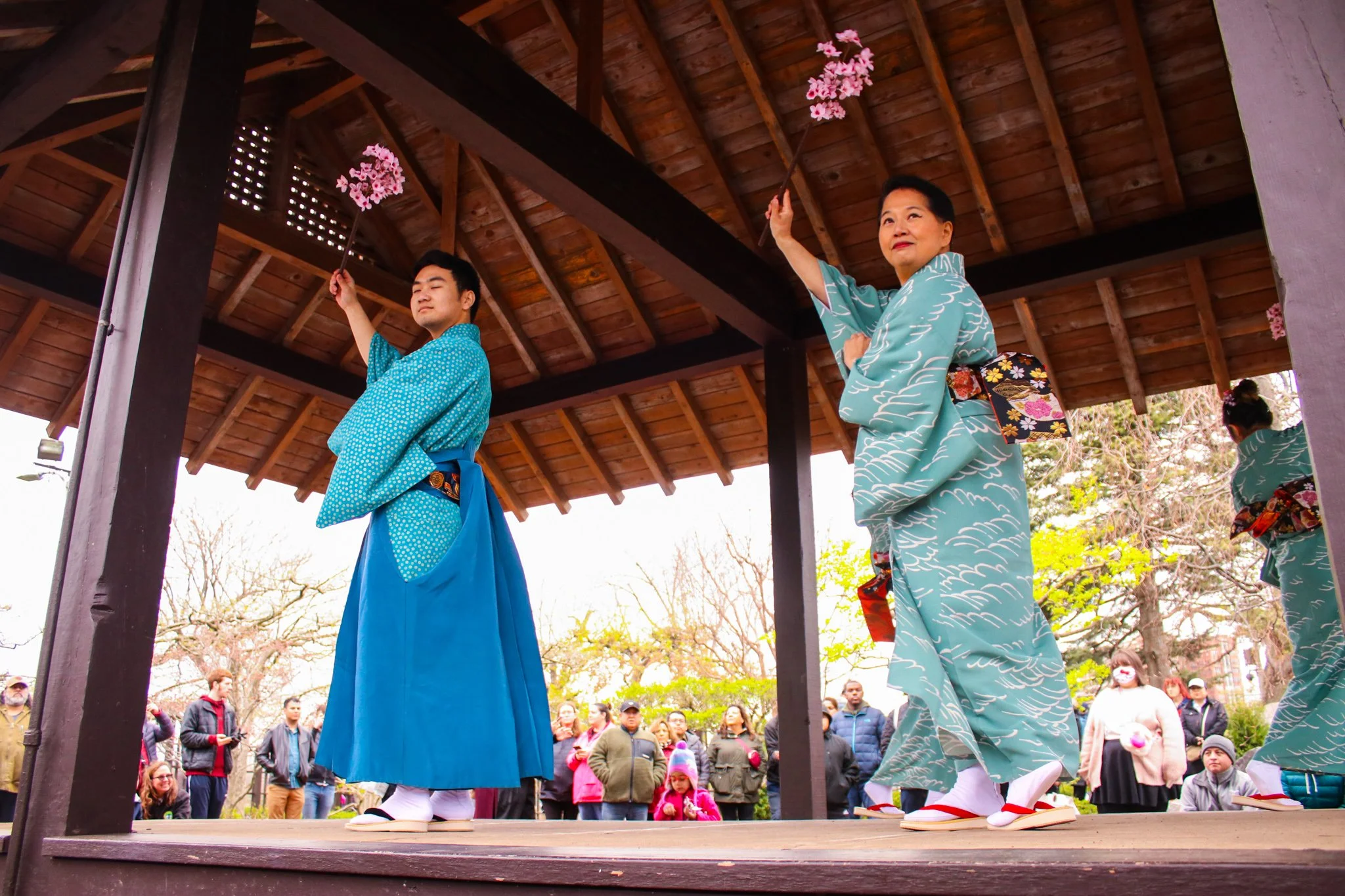 Chicago Celebrates Cherry Blossom Season at the Japanese Arts ...