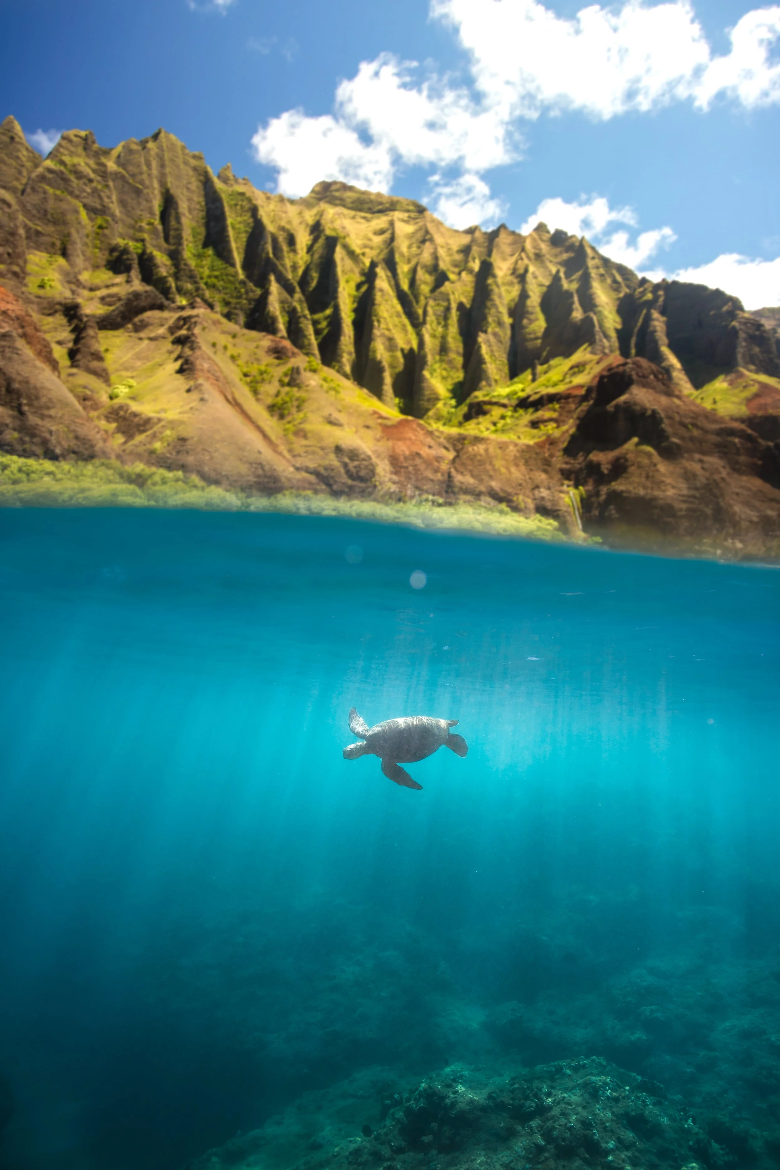 Na Pali Boat Tours | Blue Ocean Adventure Tours
