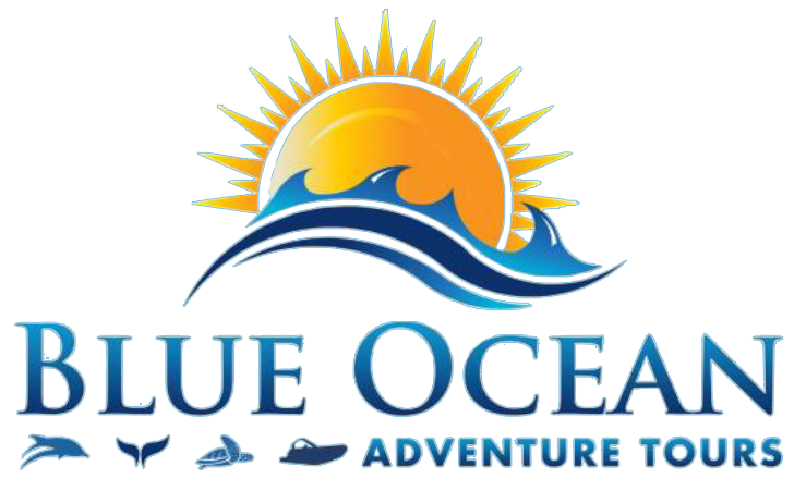 Your Na Pali ADVENTURE AWAITS! Call us at 1-800-451-6133 or book online ...