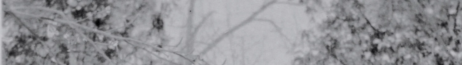 Ambient Winter Bells - a real-sounding and processed holiday bell ...