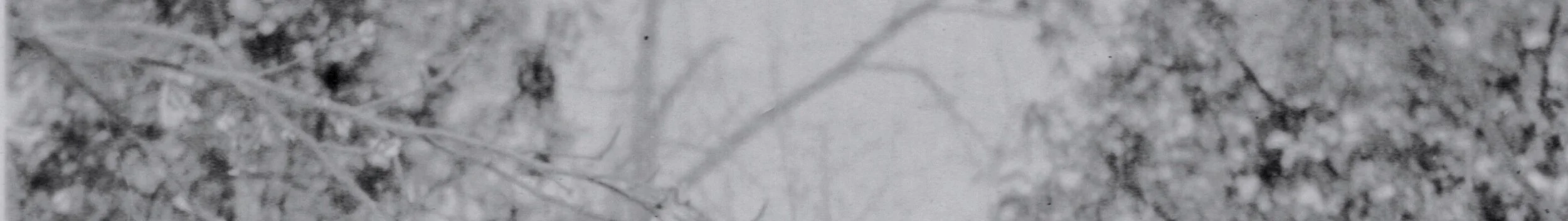 Ambient Winter Bells - a real-sounding and processed holiday bell ...