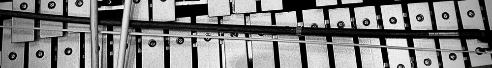 Bars - a diverse collection of deeply sampled tonal percussion ...
