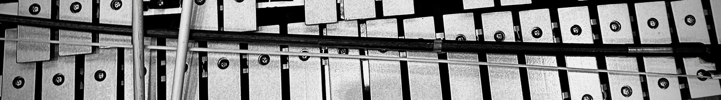 Bars - a diverse collection of deeply sampled tonal percussion ...