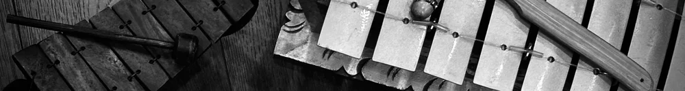 Bars - a diverse collection of deeply sampled tonal percussion ...