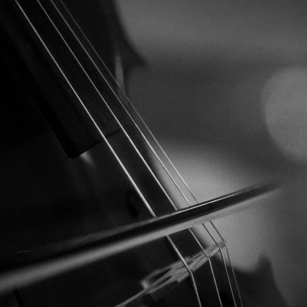 Ghost Cello 2: The Dark Side - Dark Authentic & Processed Cello Sample ...