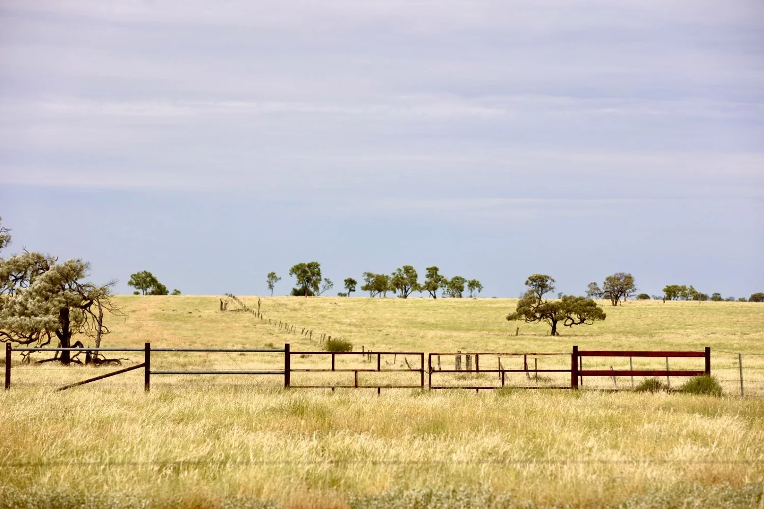 Properties For Sale — Rural Property Livestock
