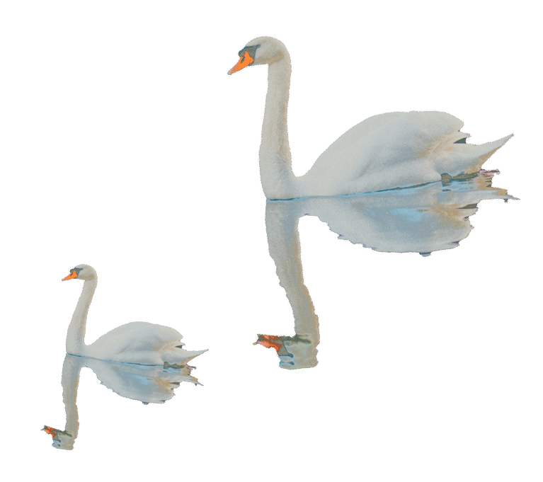 Podcast Coach - Chelsea Riffe | Launch and Grow Your Podcast