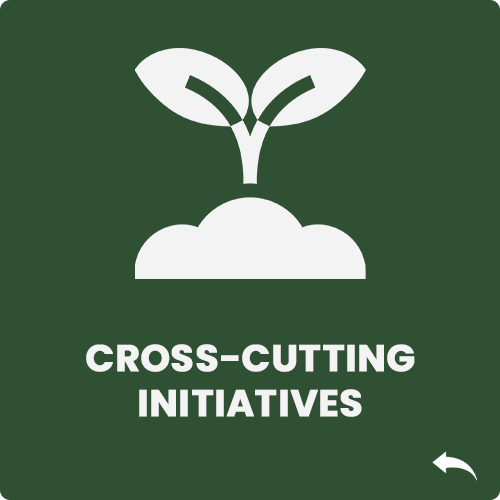 About — BEAM Circular