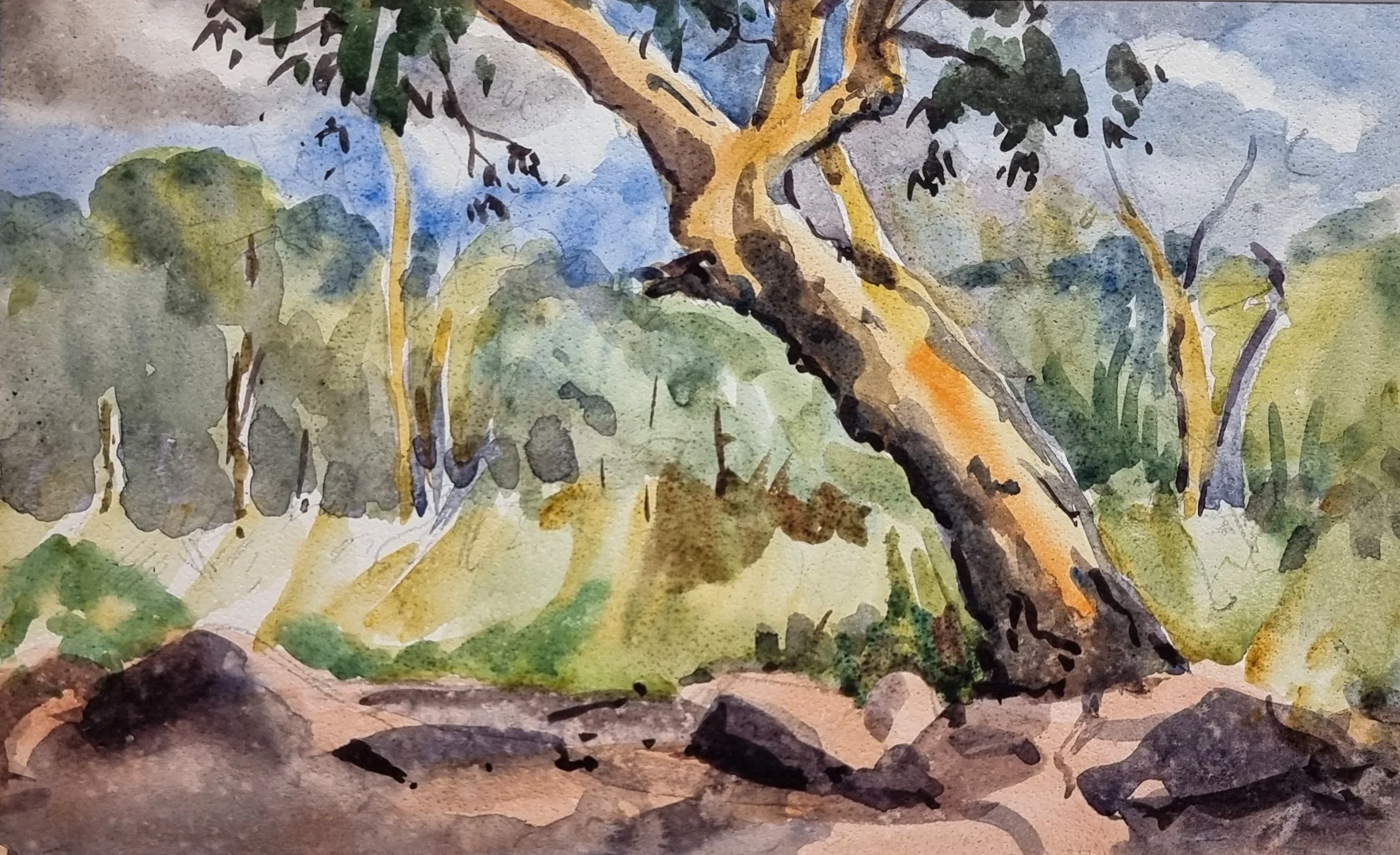 Braemar, Glen Aplin, from Shaw’s Rock, Hubert Jarvis, 1955 — Stanthorpe ...