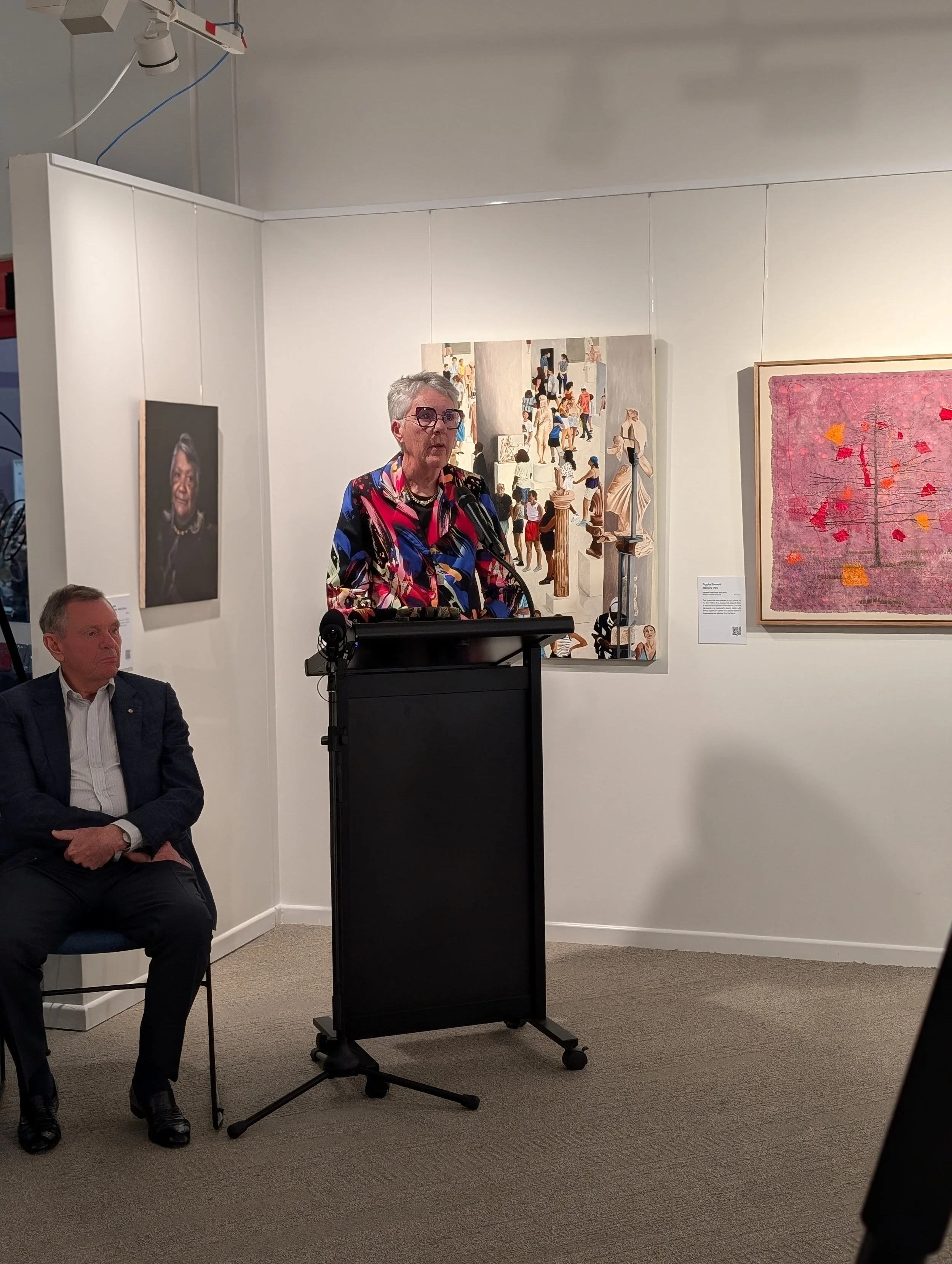 Opening night photos — Stanthorpe Regional Art Gallery