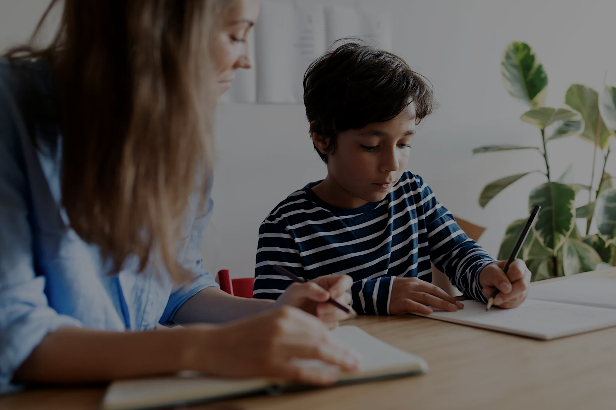 Gold Coast Private Tutoring - Shield Tuition