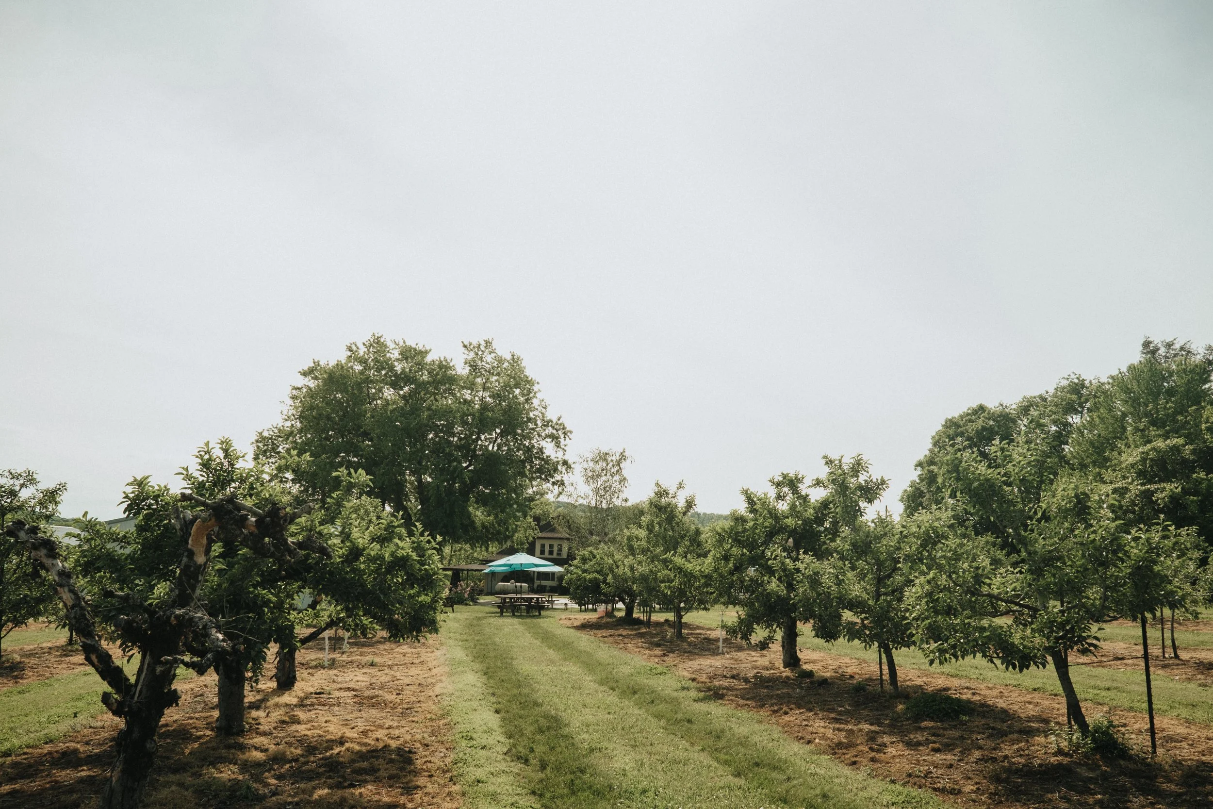 Visit The Orchard — Morning Glory Orchard