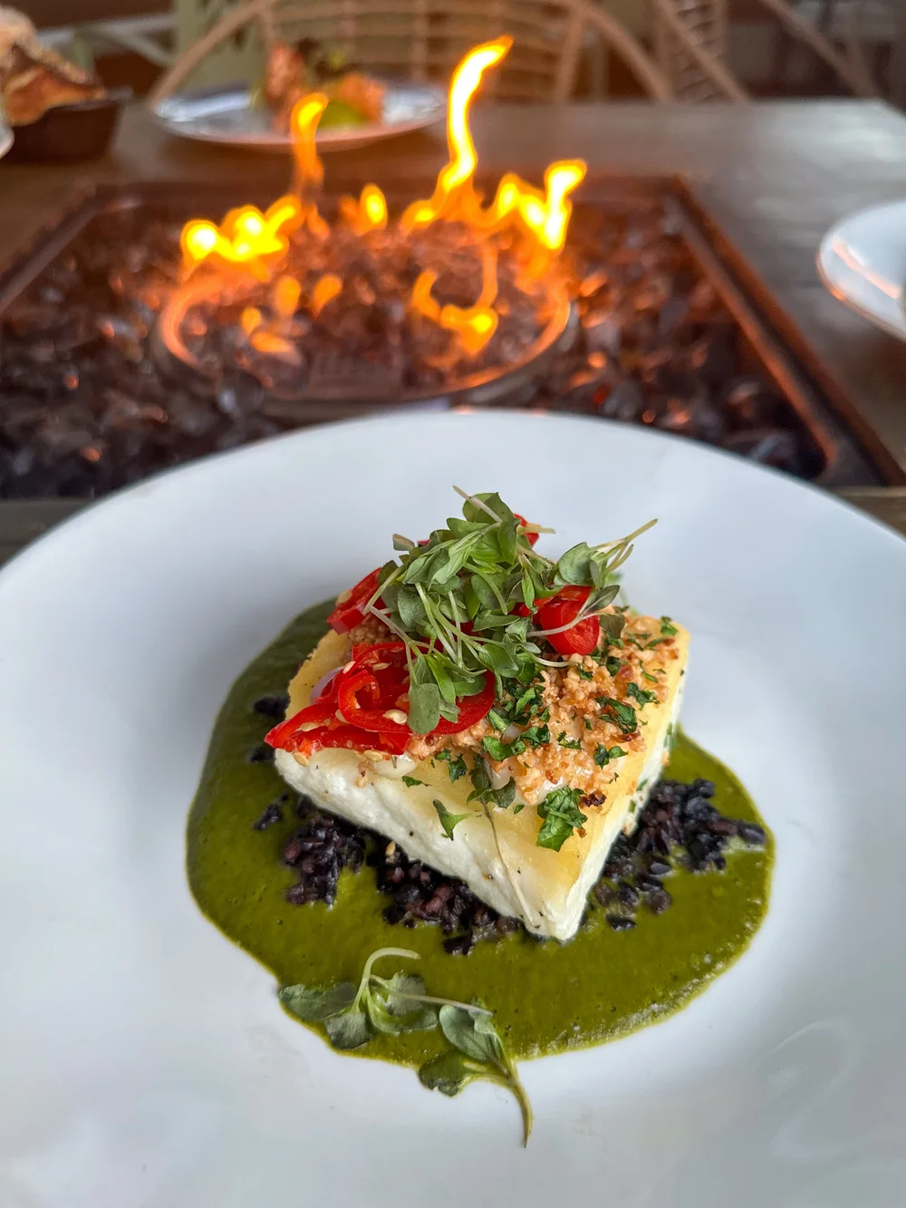 FIVE on the Hill | Studio City Outdoor Bar & Restaurant