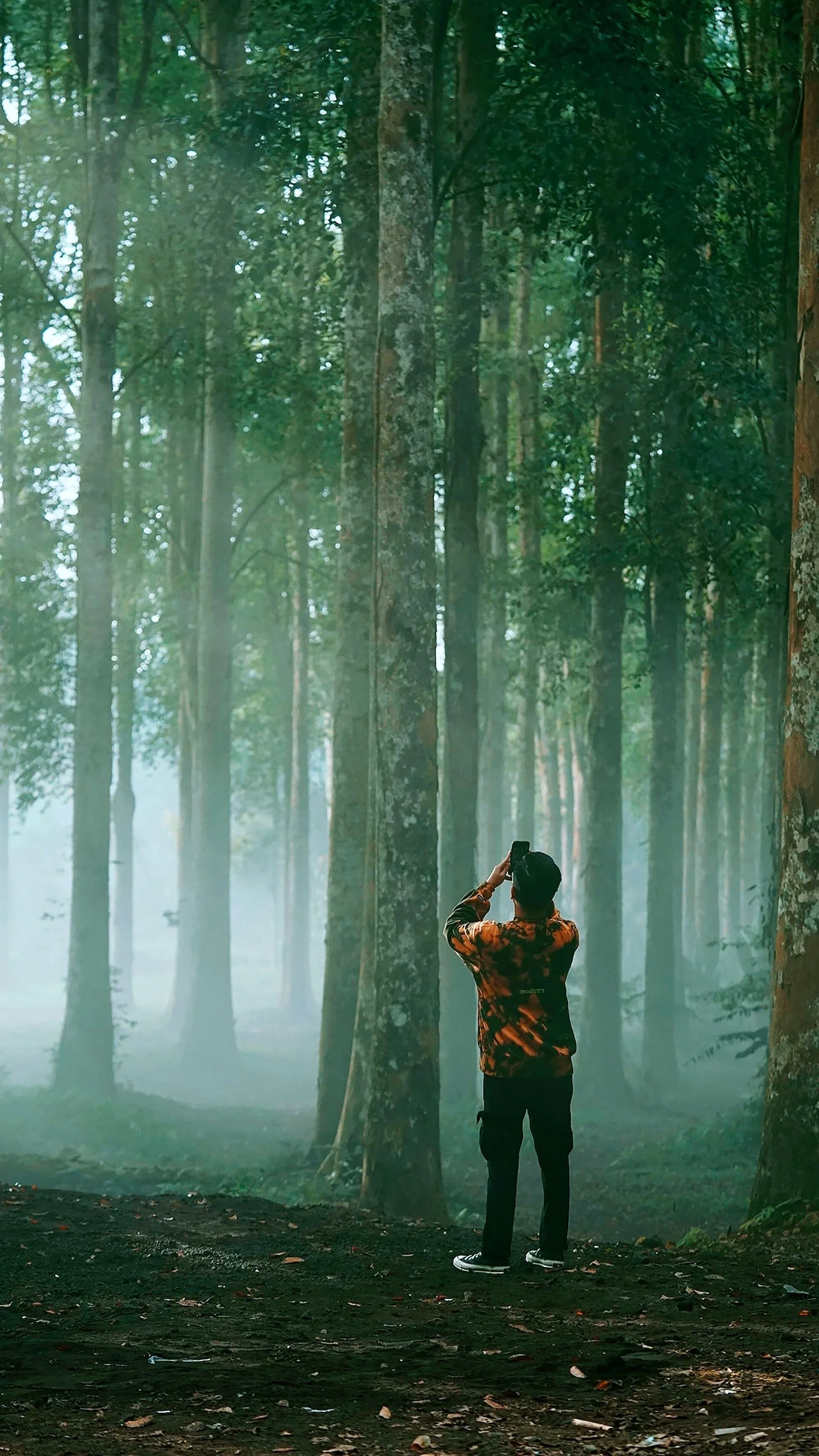 Fresh, New: The Best Areas to Stay in Bali 2024