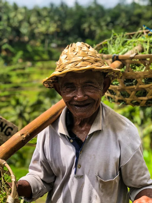 The Best Bali Rice Fields To Visit: Secret, Iconic & New Picks | Bali's ...