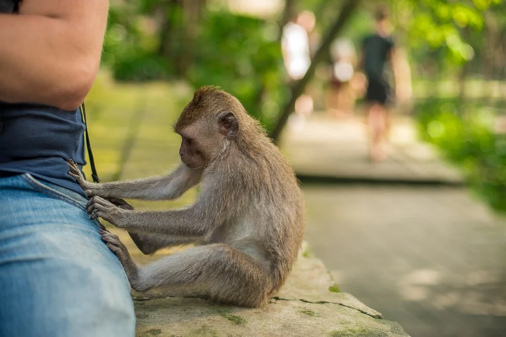 Why is Bali SO CHEAP? Discover why Bali is a Bargain