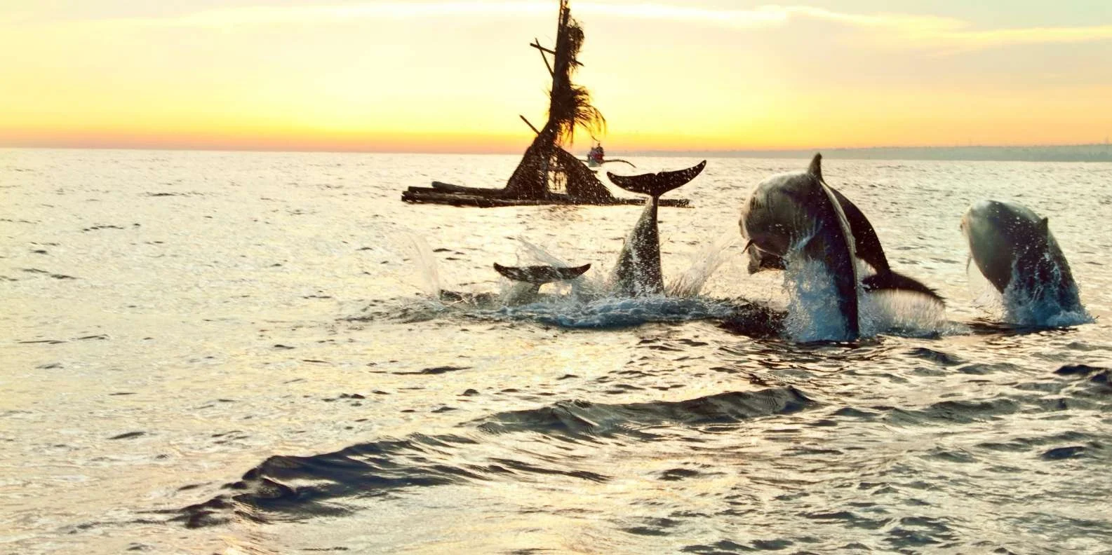 North Bali: Sunrise Tour with Dolphins, Waterfalls & Temples