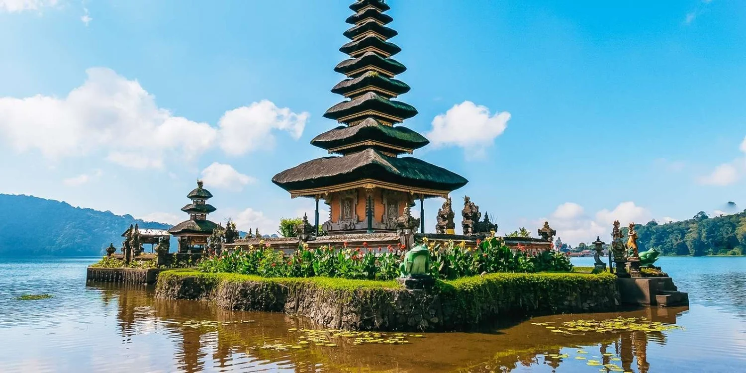 North Bali: Sunrise Tour with Dolphins, Waterfalls & Temples