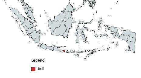 Where is Bali on a map? Where is Bali located in Indonesia?