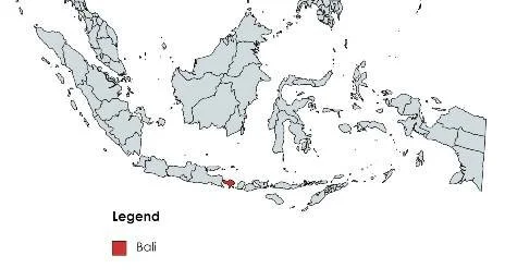 Where is Bali on a map? Where is Bali located in Indonesia?