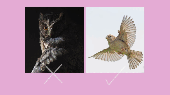 Class Info: Learn To Draw: A Beginner's Guide To Sketching Anything ...