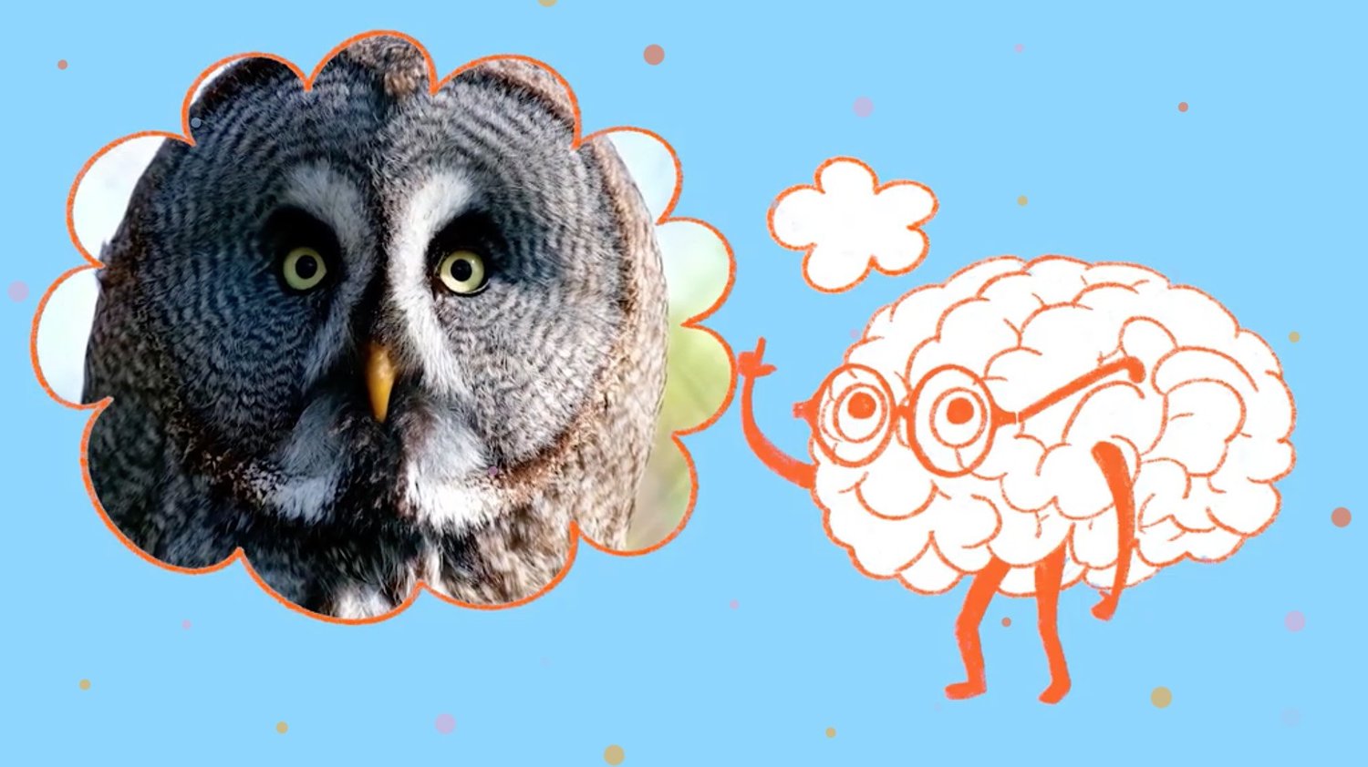 7 Tips to Improve your Observation for Drawing — Mel Rye