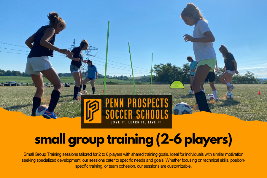 Small Group Soccer Training: Tailored Sessions for Collective ...