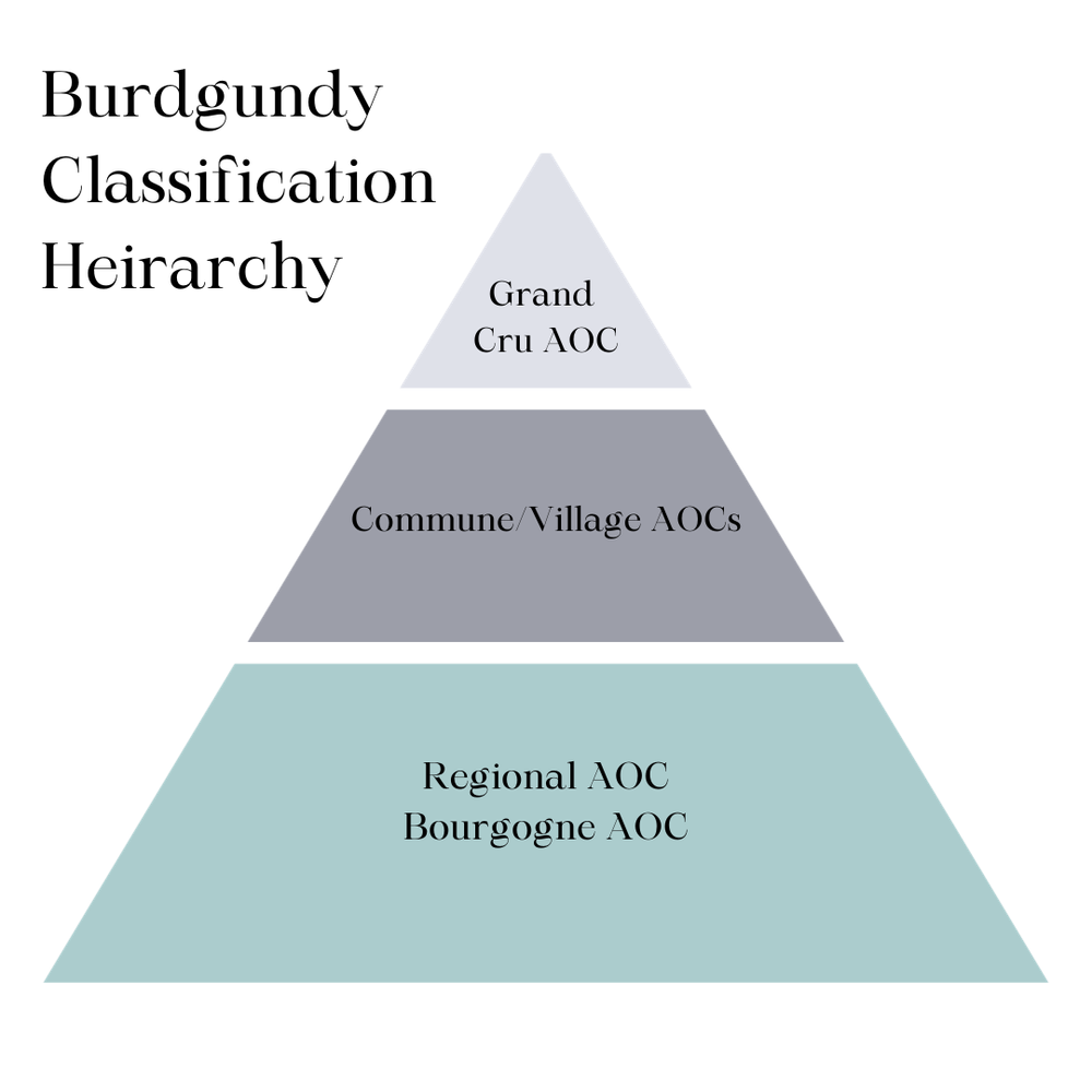 Burgundy Classifications and Hierarchy — Hudson Valley Wine Education