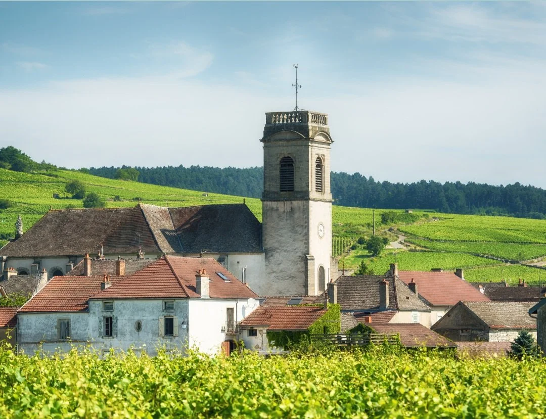 Burgundy Climate, Terroir, and Main Grape Varieties — Hudson Valley ...