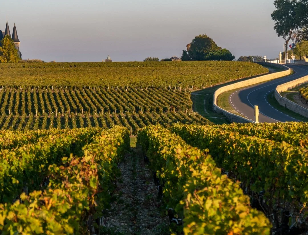Bordeaux Wine Classifications and Hierarchy — Hudson Valley Wine Education