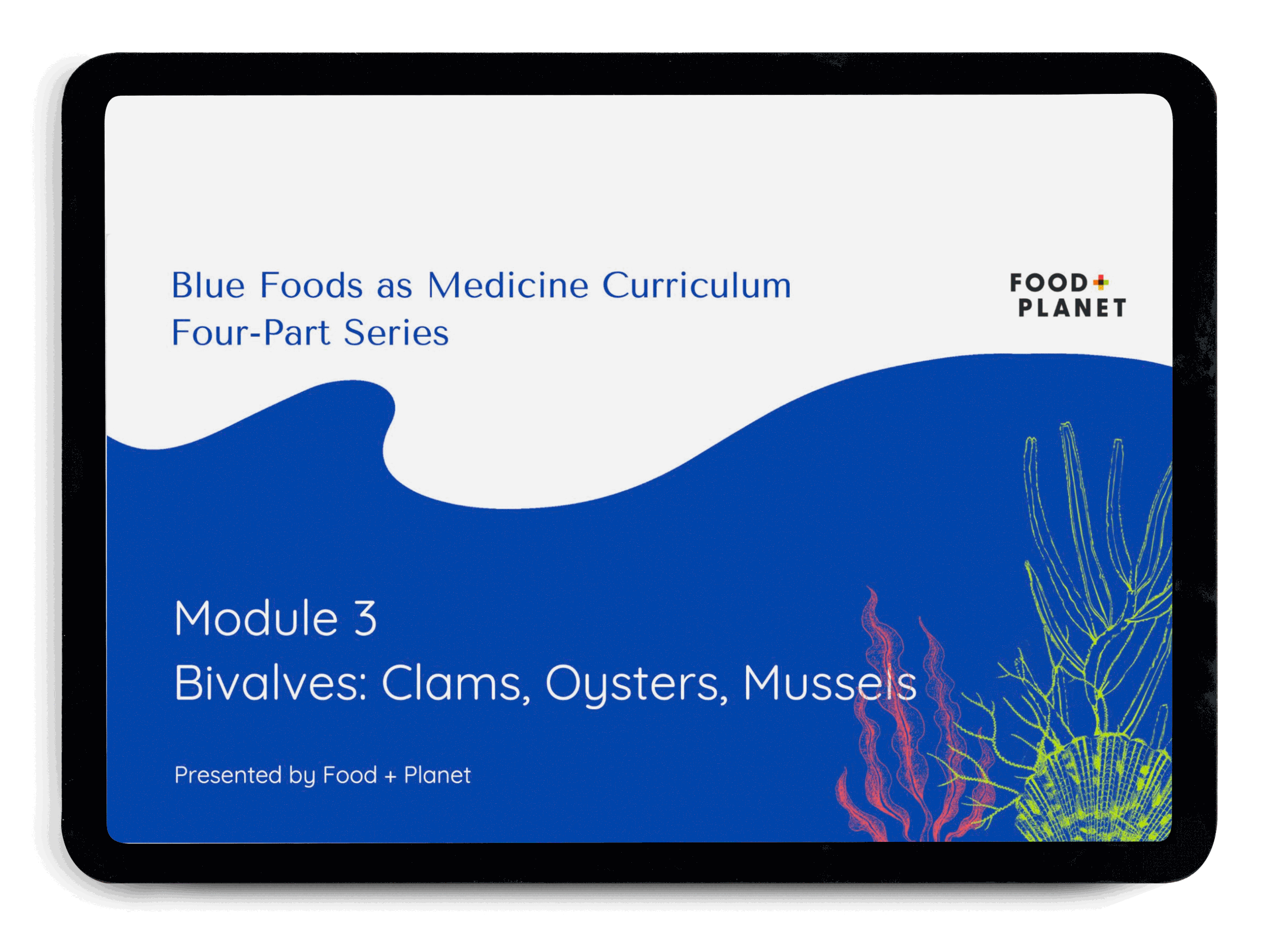 Curriculum — Aquatic Foods