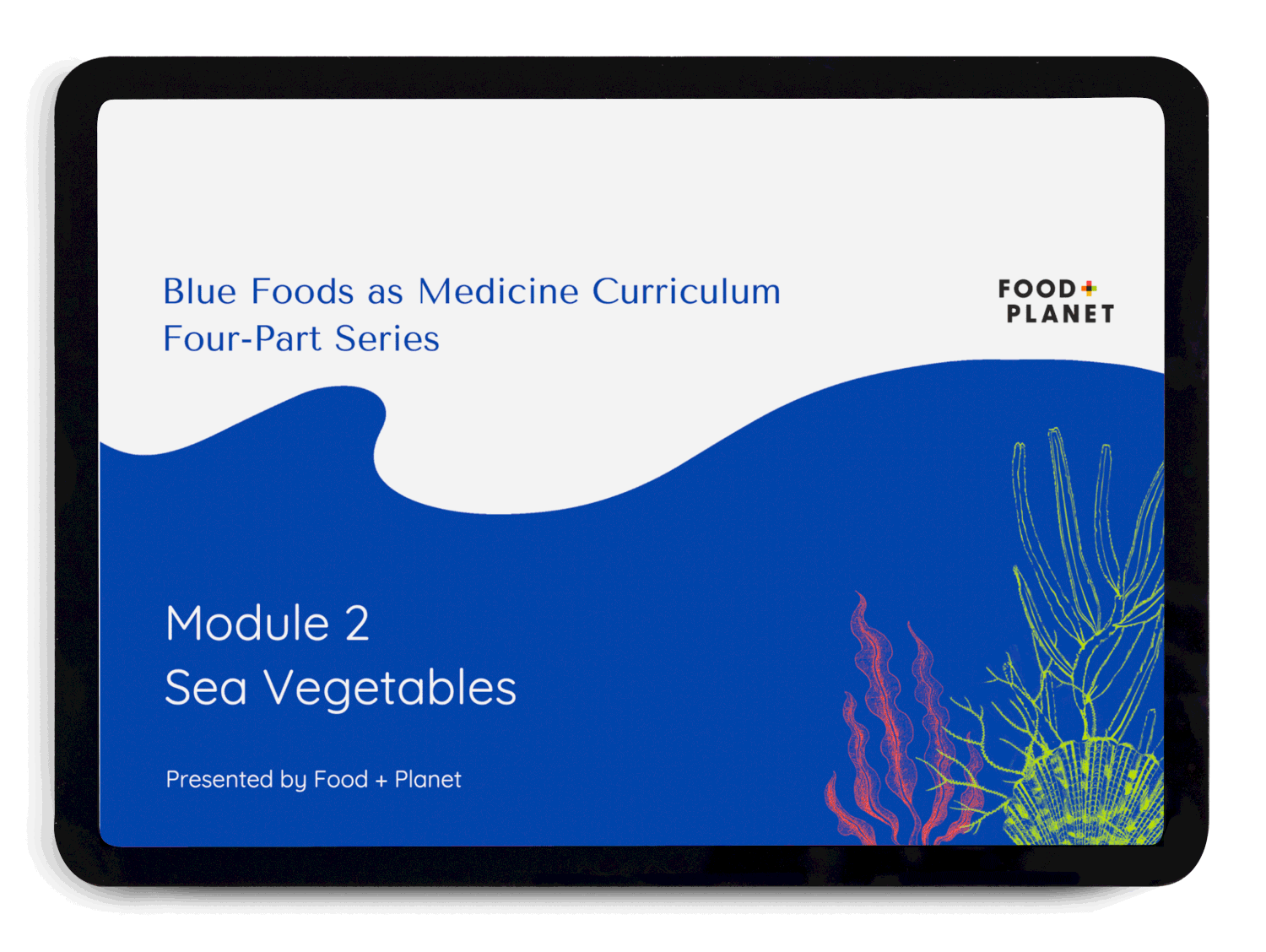 Curriculum — Aquatic Foods