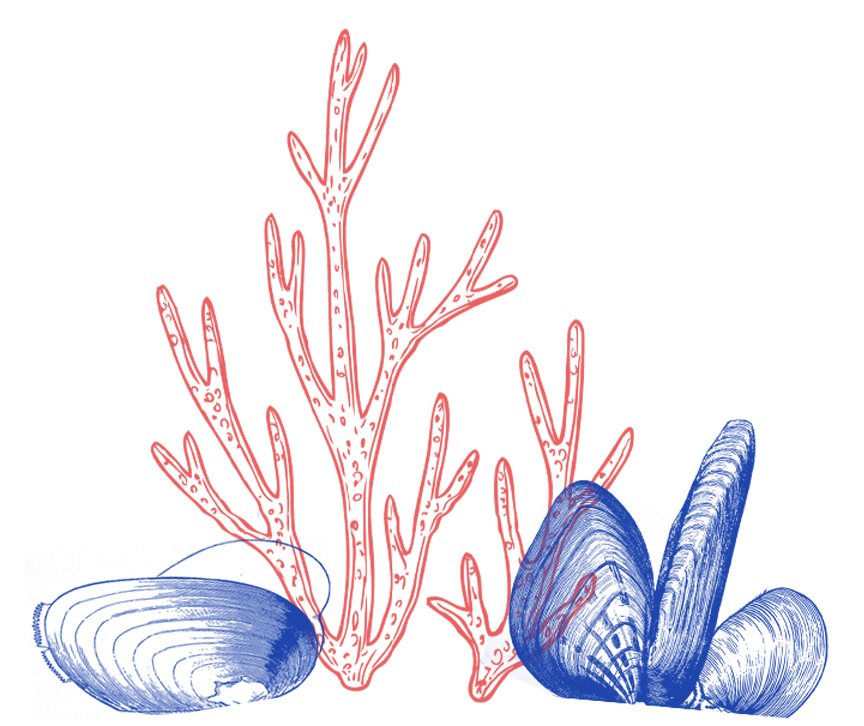 Aquatic Foods