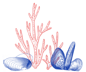 Aquatic Foods