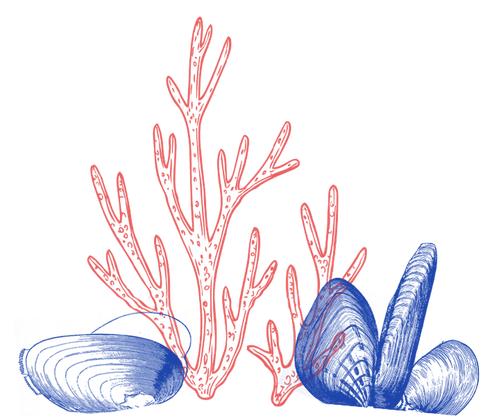 Aquatic Foods