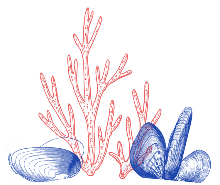 Aquatic Foods