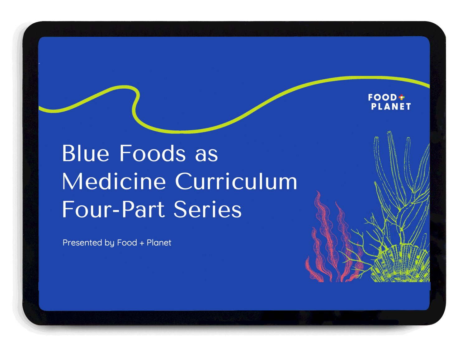 Curriculum — Aquatic Foods