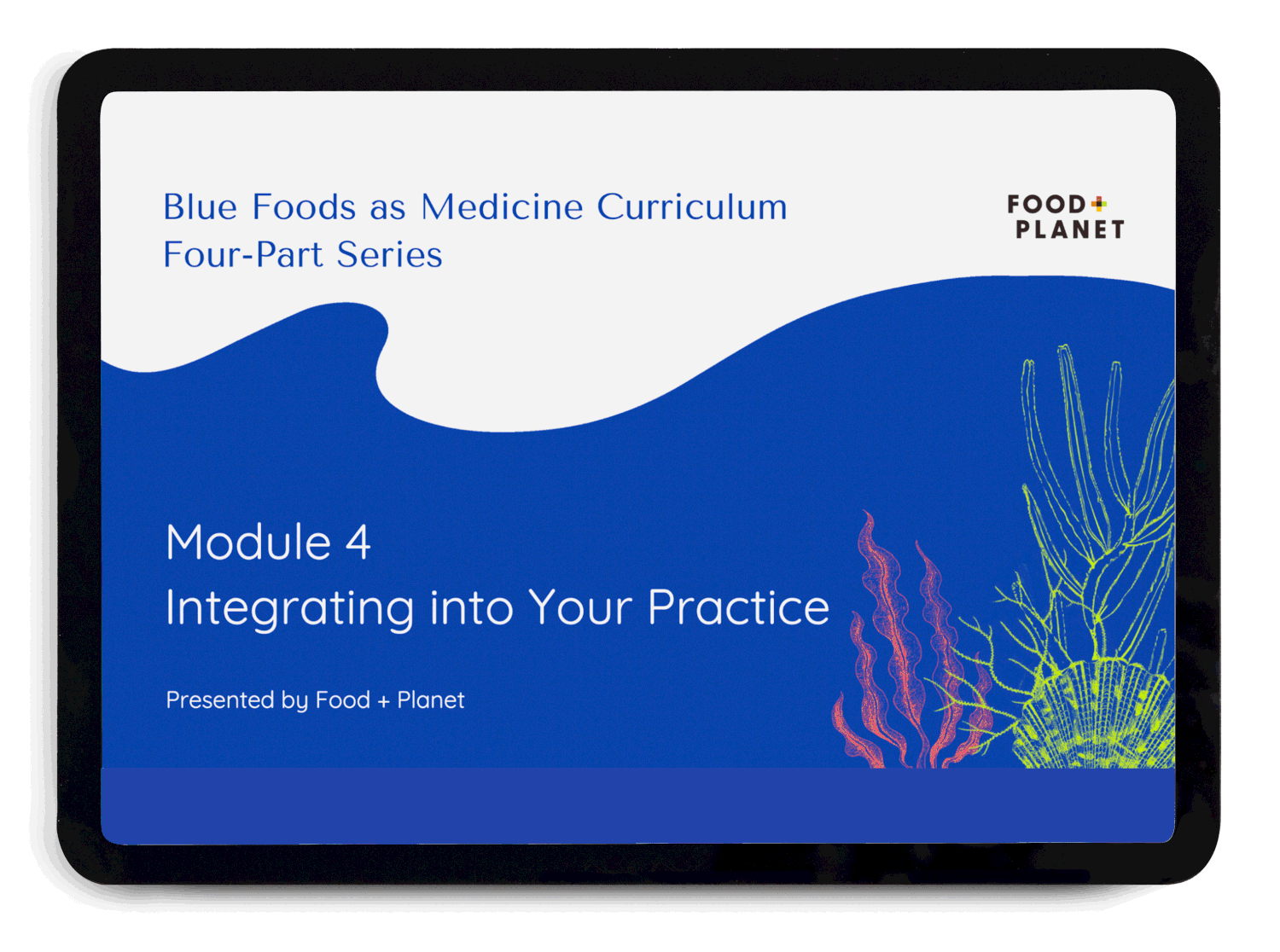 Curriculum — Aquatic Foods