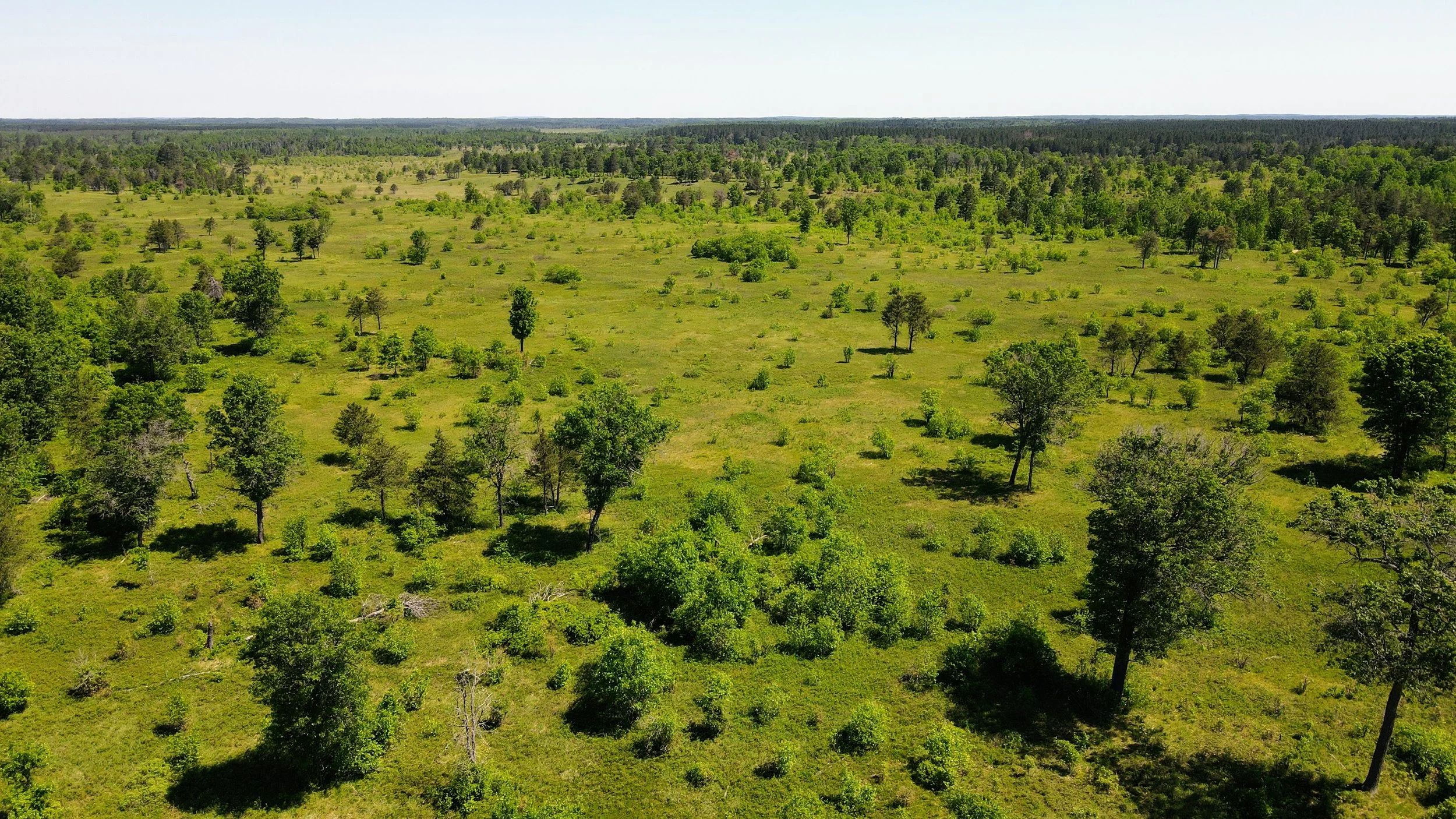 Mio Prairie — Huron Pines