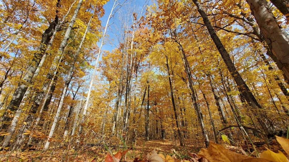 Hunter Access Program — Huron Pines