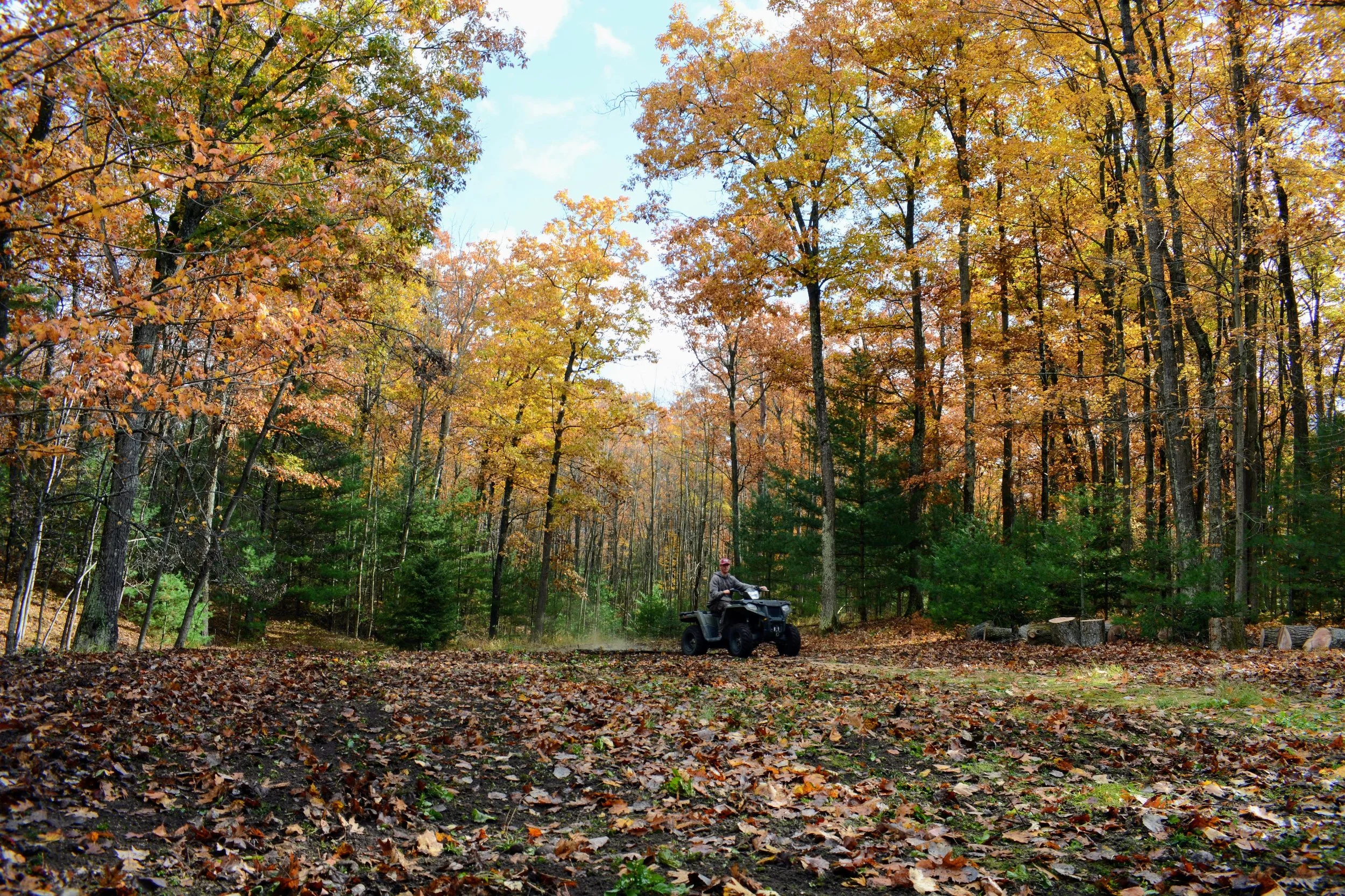 Habitat Restoration in Progress at Two Preserves & Tuttle Marsh — Huron ...