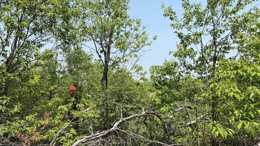 Conserving Rare Species in Michigan’s Frost Pocket — Huron Pines
